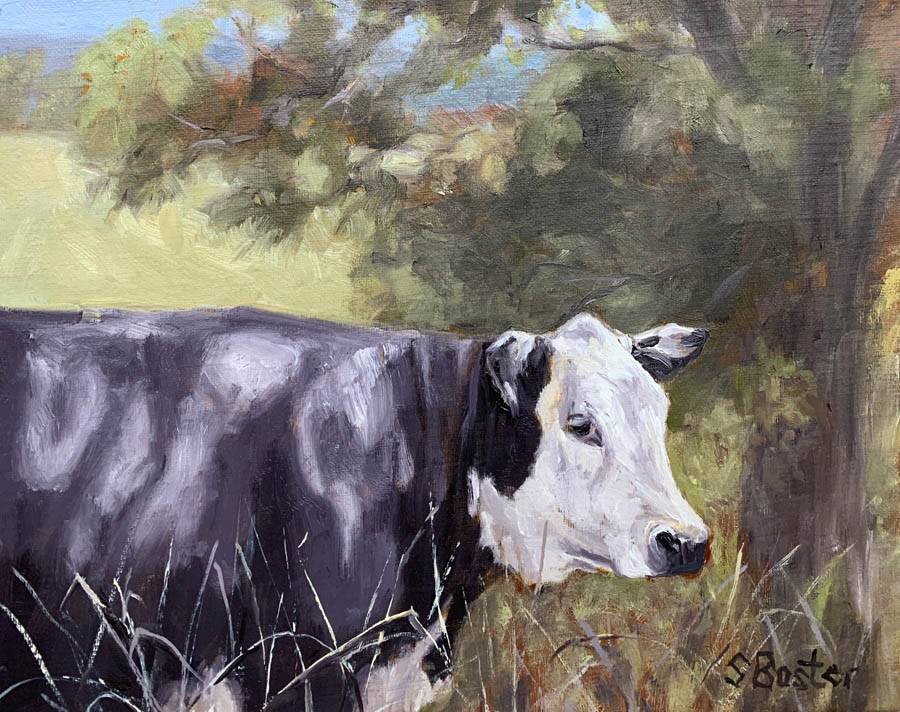 Gallery - Steve Boster